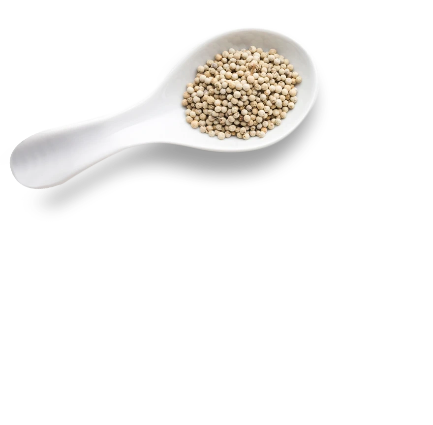 About Satvam Nutrifoods